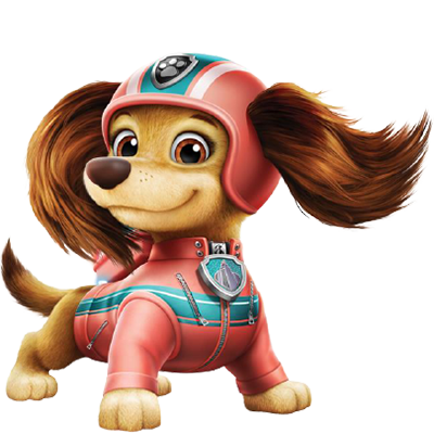 Top 13 Pat Patrouille Quel Animal De La Pat Patrouille Pr f res tu Top 13 Pat Patrouille Quel Animal De La Pat Patrouille Pr f res tu